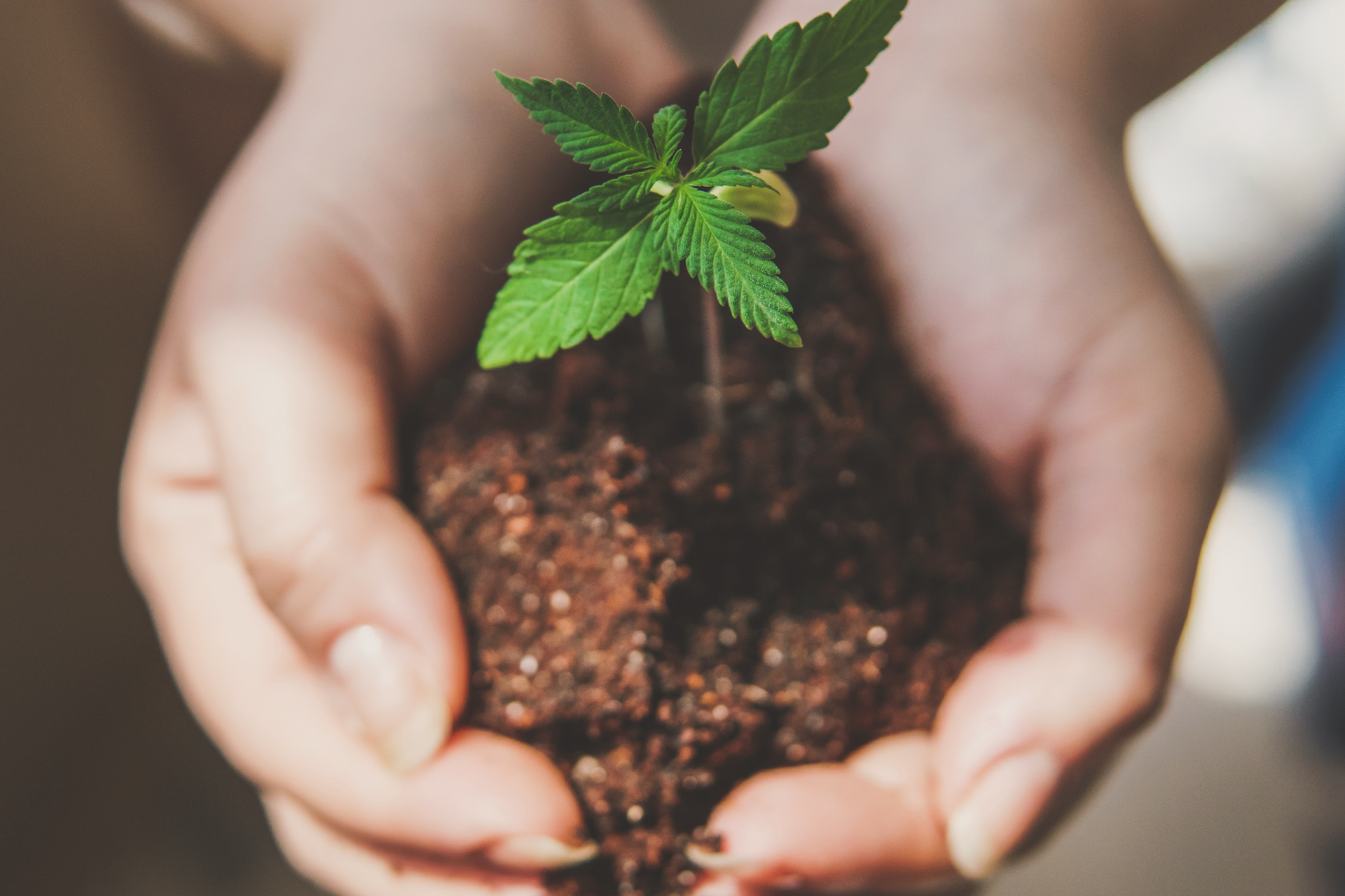 Hizenについて | 株式会社Hizen｜人財コンサルティング・不動産管理｜仙台市若林区二軒茶屋1-6 エスコムビル4階